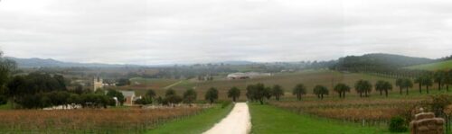 History of the Barossa Valley and Its Landscapes – Glug Wines