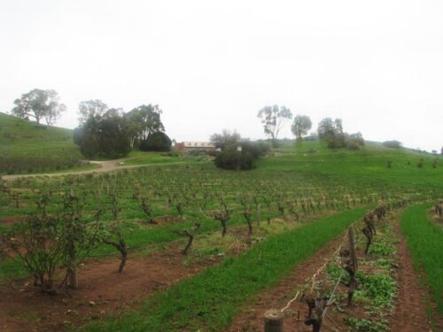 History of the Barossa Valley and Its Landscapes – Glug Wines